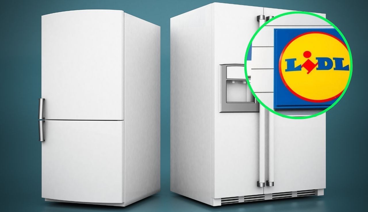 LIDL, altro che saldi: questo è proprio un regalo | Frigo a soli 59 ...